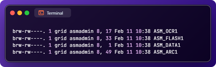 Oracle 19c Grid Infrastructure Installation on RHEL 8.10 - OS Pre ...